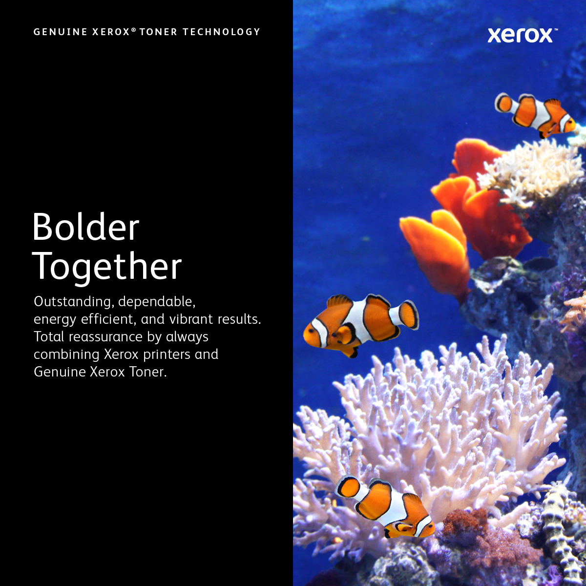 Xerox 101R00582 Drum kit, 60K pages for Xerox VersaLink B 600, 988 in ...