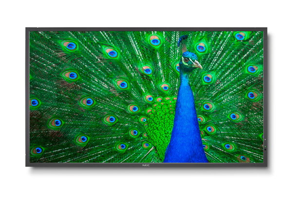 NEC MultiSync C651Q Digital signage flat panel 165.1 cm (65") LED 350 ...