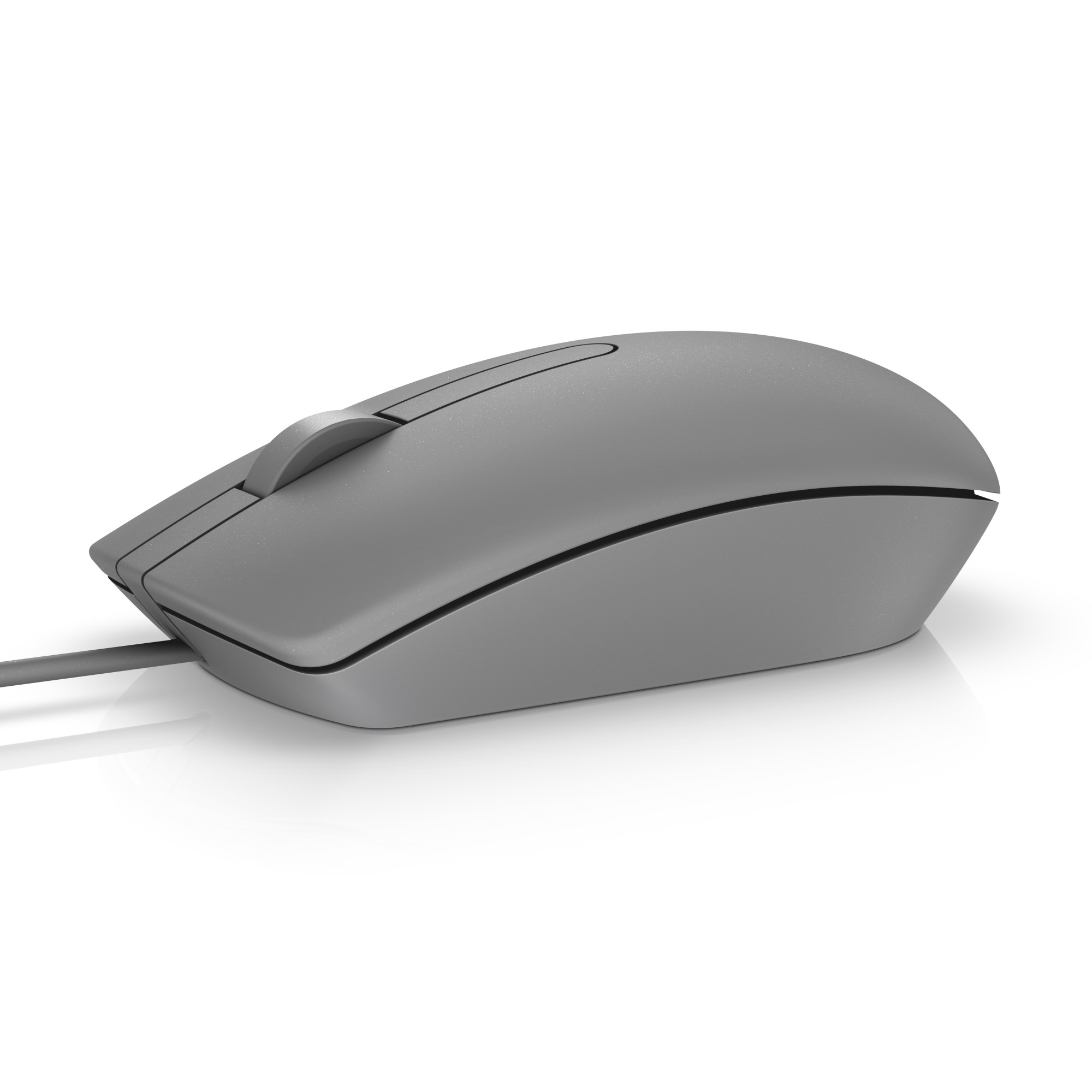 DELL MS116 mouse USB Type-A Optical 1000 DPI Ambidextrous, 561 in ...