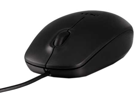 DELL MS111 mouse USB Type-A Optical 1000 DPI, 0 in distributor ...