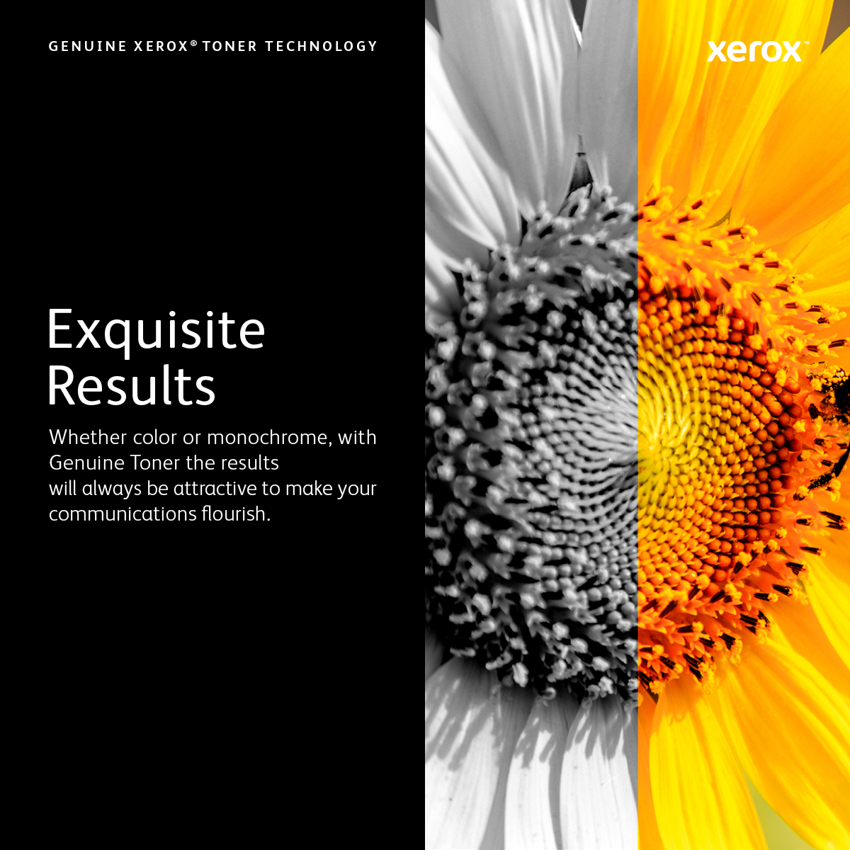 Xerox 006R04378 Toner-kit extra High-Capacity, 20K pages ISO/IEC 19752 ...